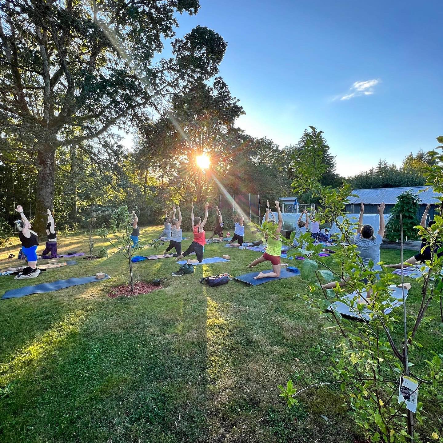 Hens Den Yoga – Boutique Yoga Studio
